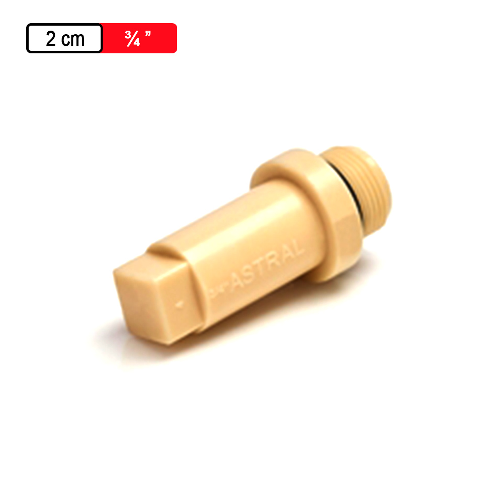 Astral CPVC Pro Copper Tube Size End Plug Threaded 2.0cm .75inch ...