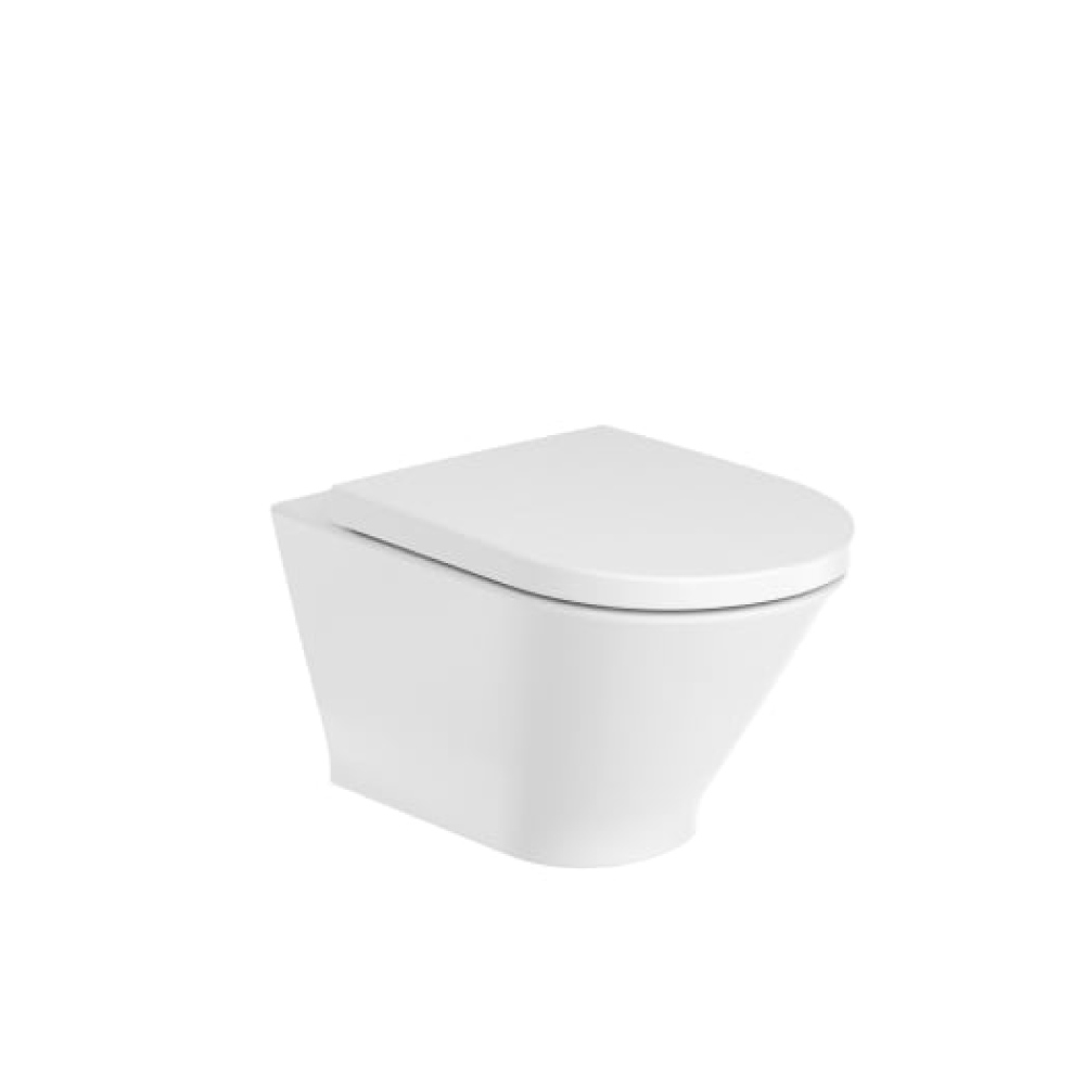 Roca Rimless Water Closet Pan With Fixing Kit With Rs341730000 Cistern ...