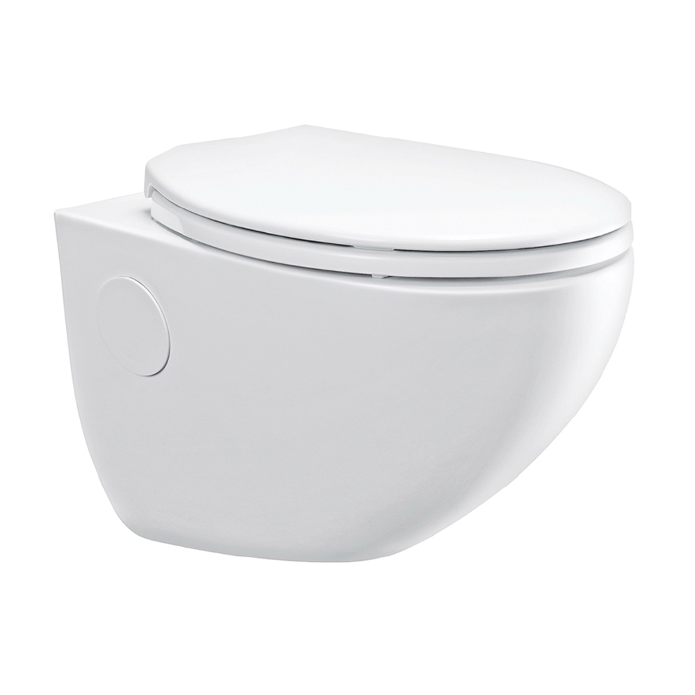 Cera Carnival Clean Rim Set 510x365x380 Snow white wall hung EWC with ...