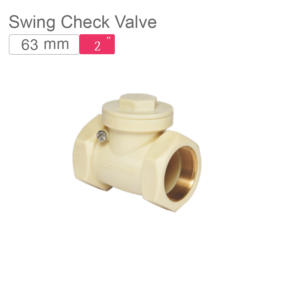 Supreme AquaGold uPVC Swing Check Valve (Second Sale) 63mm SCH 80 ...